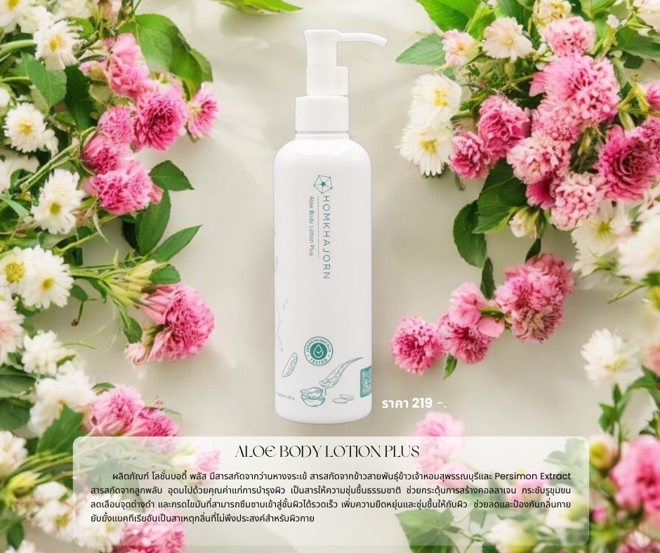 Aloe Body Lotion Plus – HOMKHAJORN